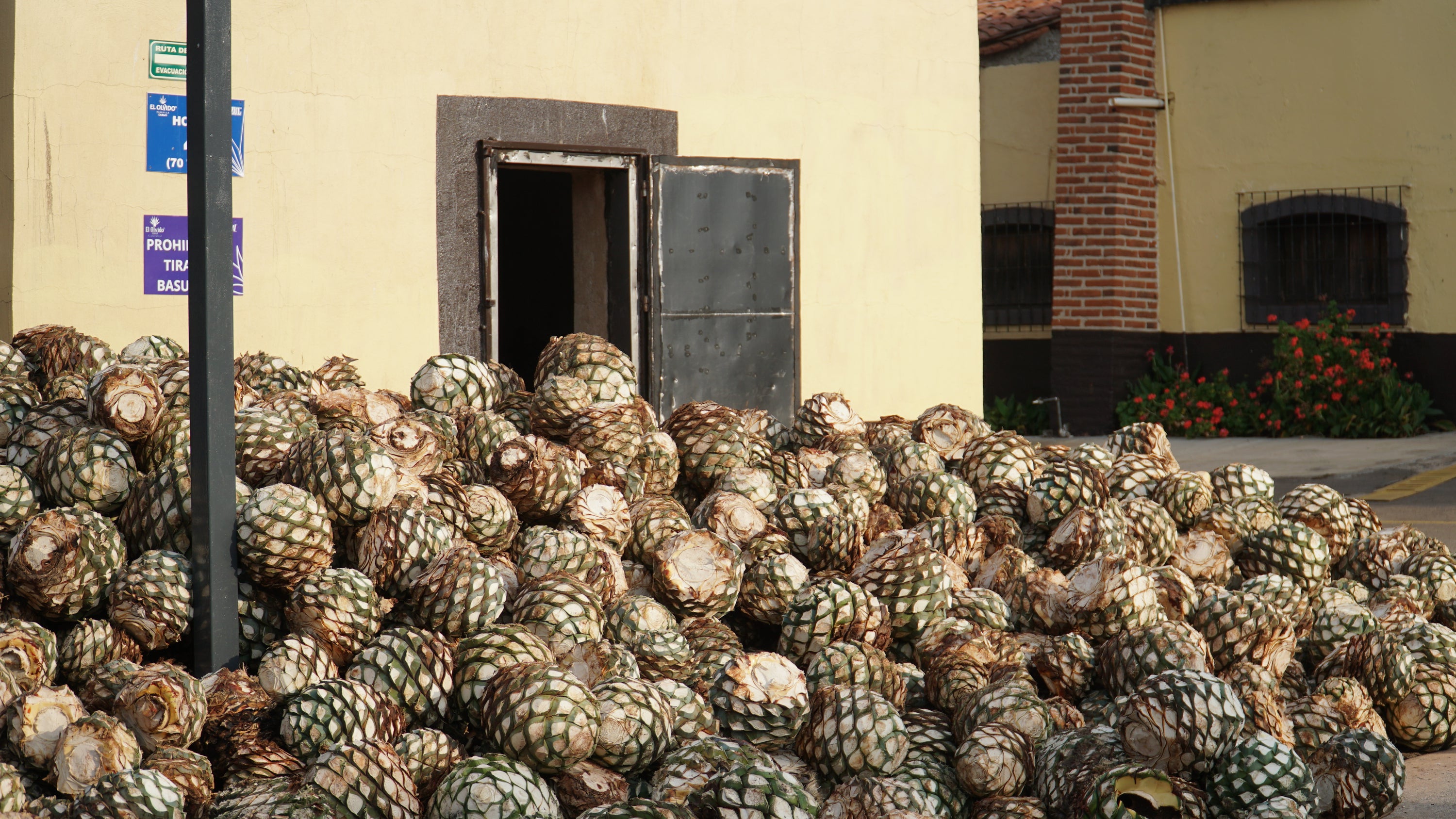Tierra de Ensueño